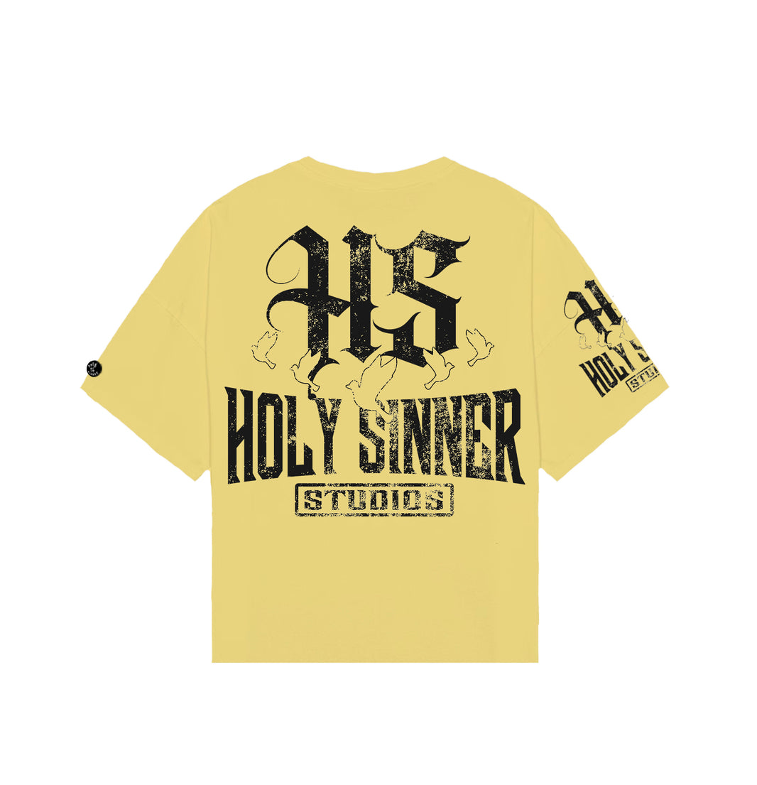 Holy Sinner